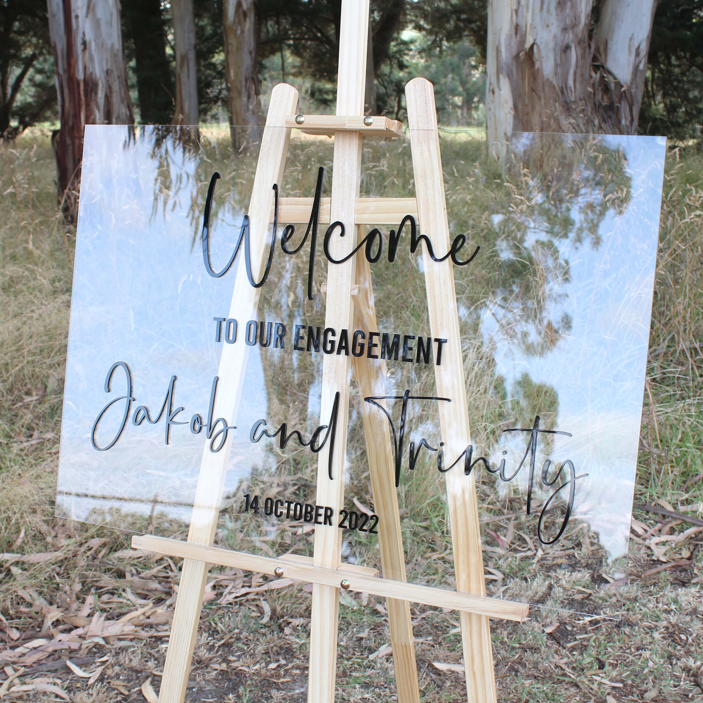 Engagement Sign | Engagement Party Welcome Sign – Meridian Etch