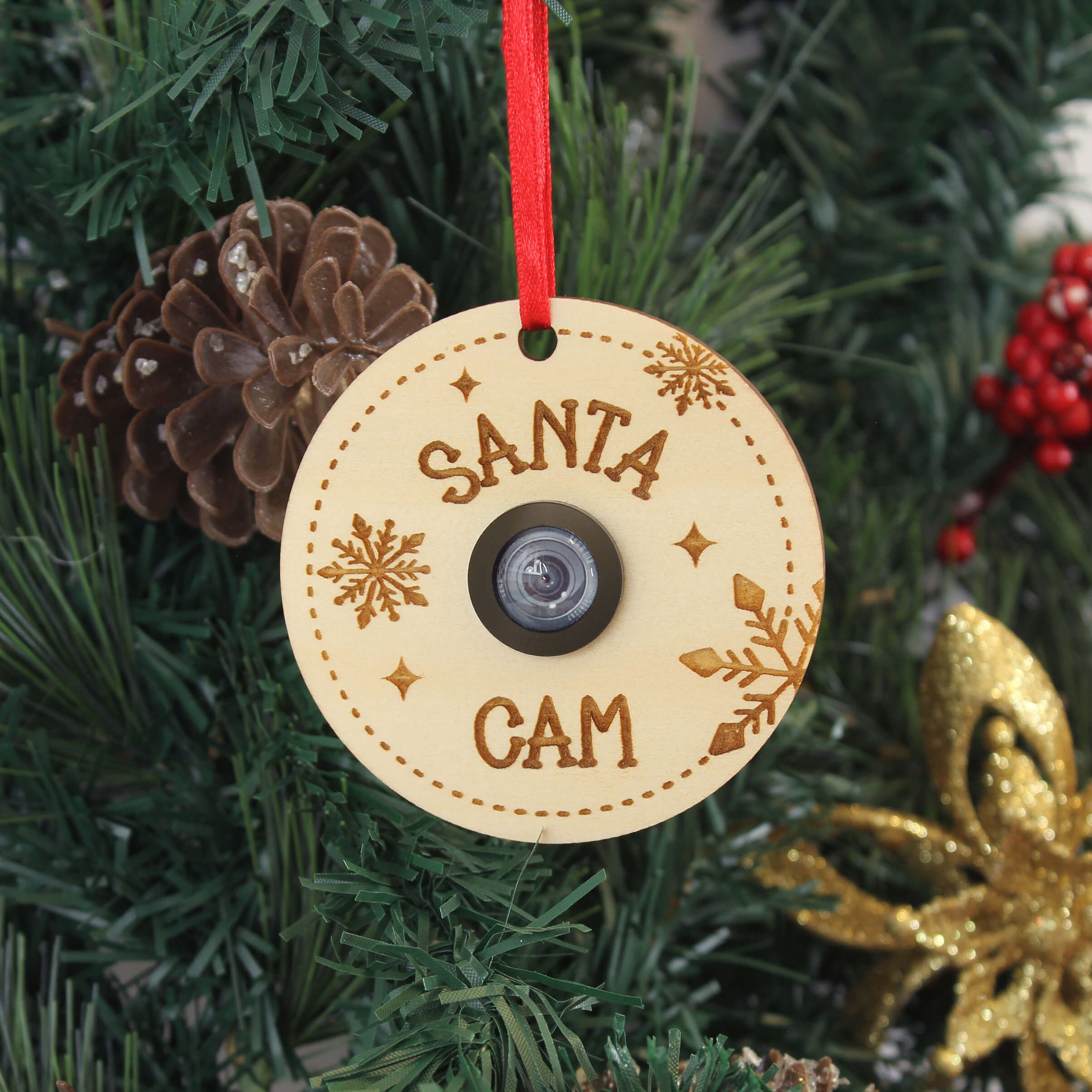 Santa Cam | Santa Surveillance Camera – Meridian Etch