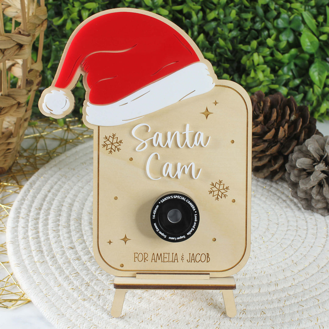 Talking Santa Camera